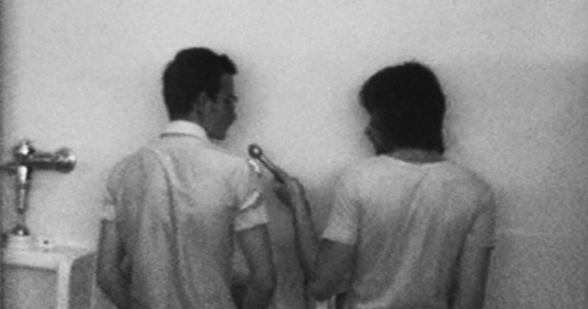 Vidéographe, vu et par : 20 ans d'histoire de la vidéo québécoise ...