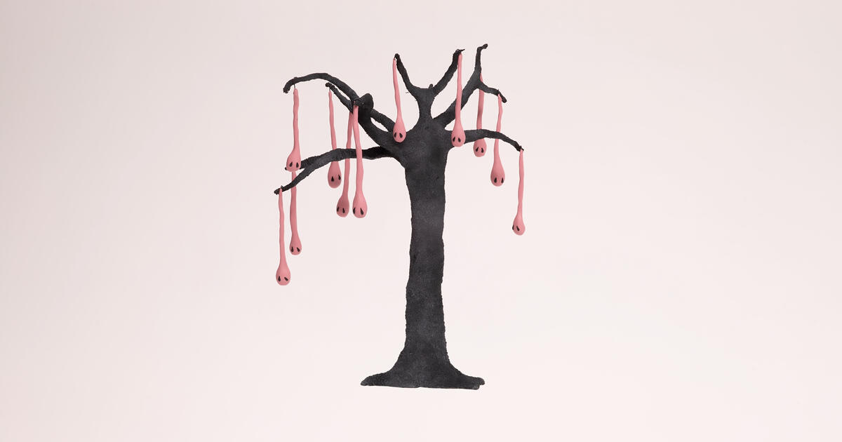 Tree Story | Vithèque